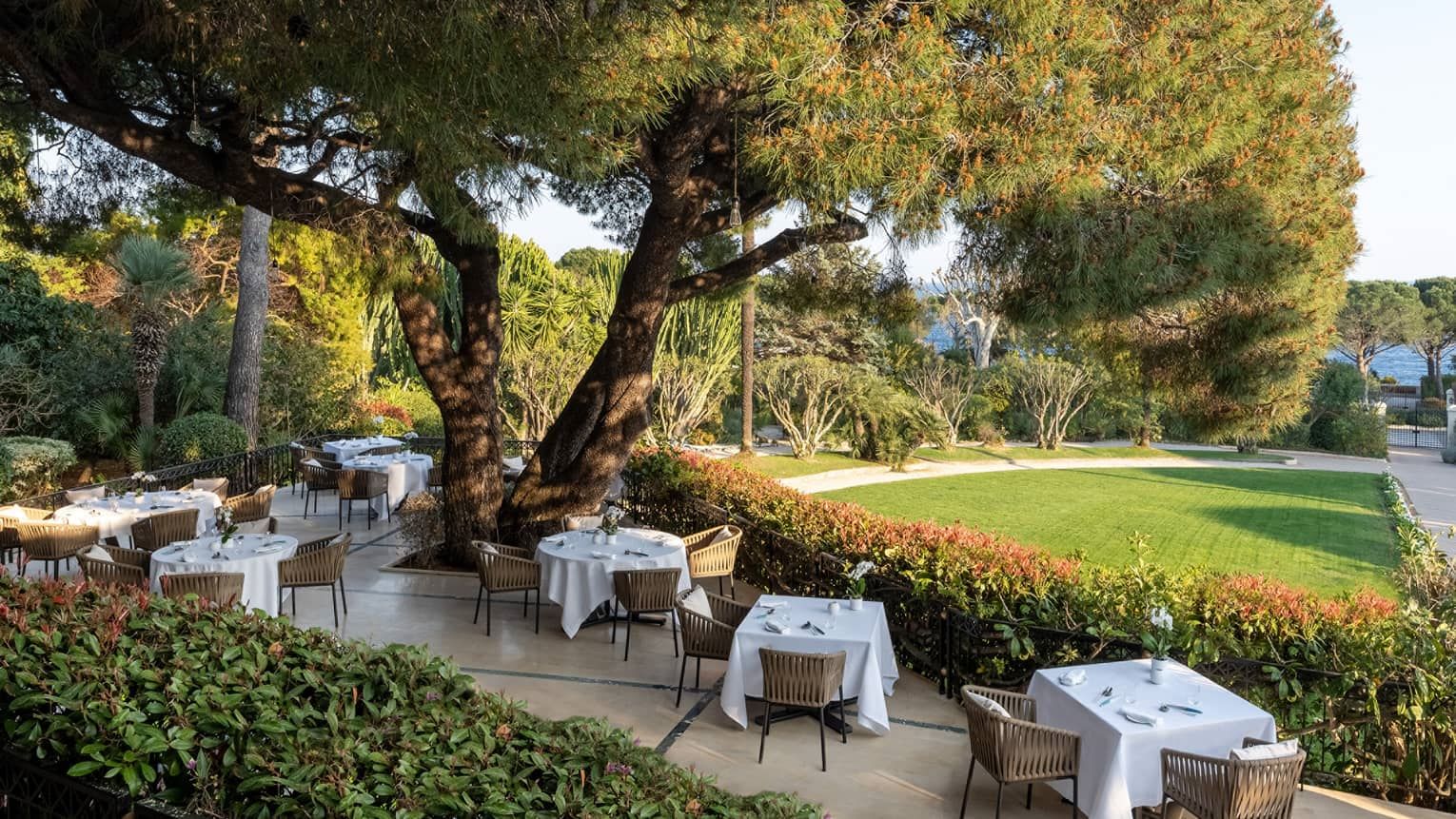 Tasty tour in the South of France | The FNL Guide | Discover Greece ...